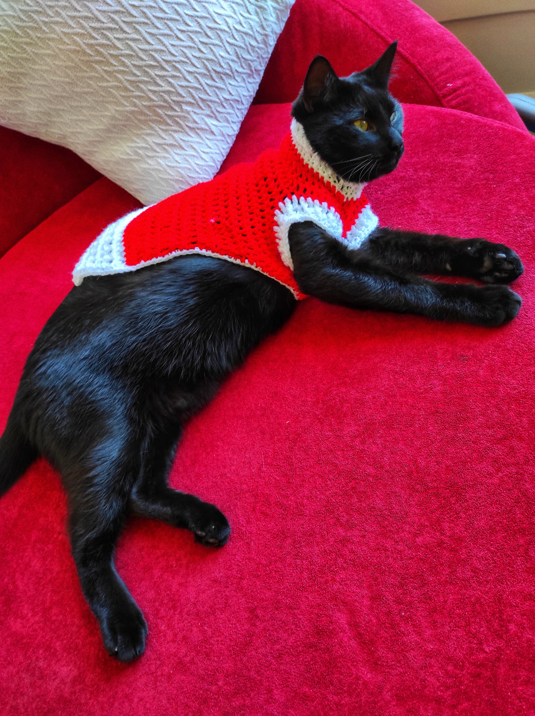 Vêtements et accessoires au crochet pour chat – Markus crochet